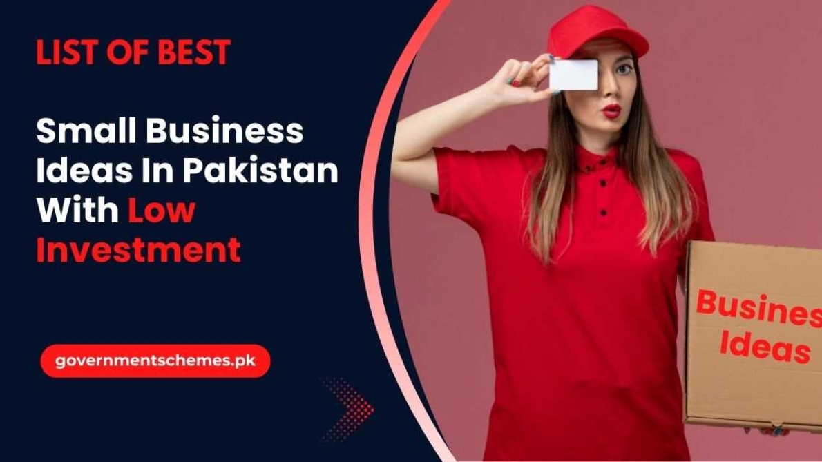 100+ Small Business Ideas In Pakistan With Low Investment