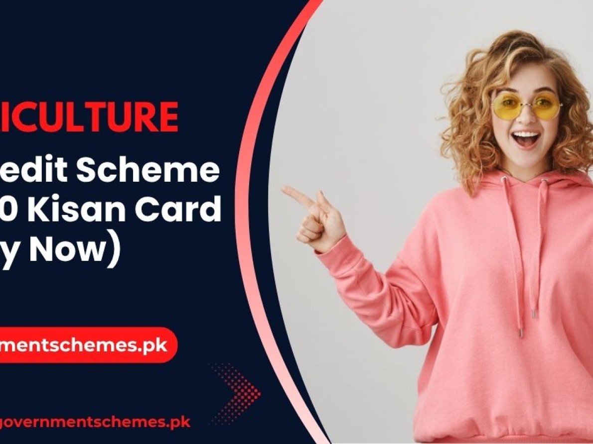 Punjab Government (All Schemes List) [Apply Online]