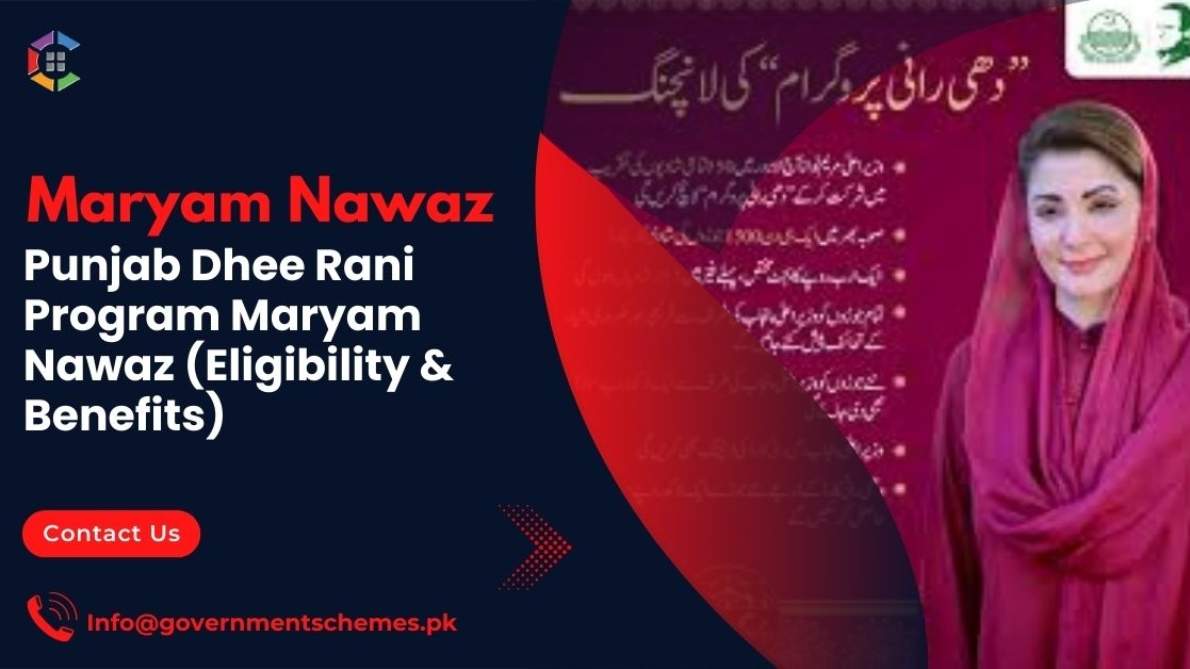 Punjab Dhee Rani Program Maryam Nawaz (Eligibility & Benefits)