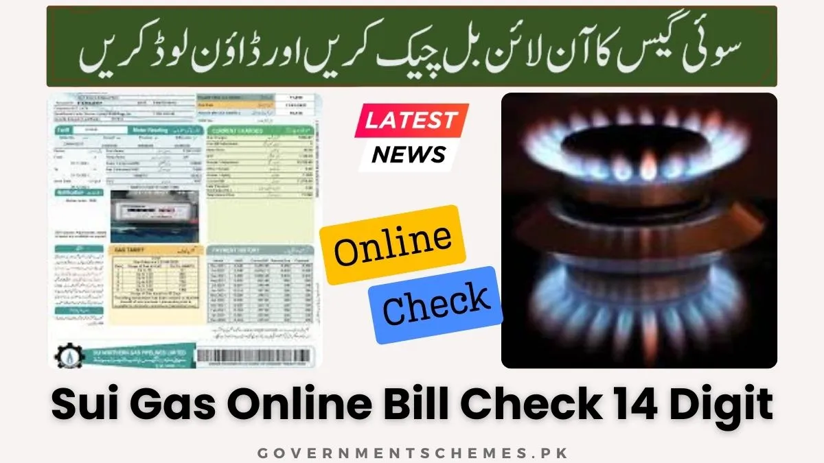Sui Gas Online Bill Check 14 Digit- Download Duplicate Copy