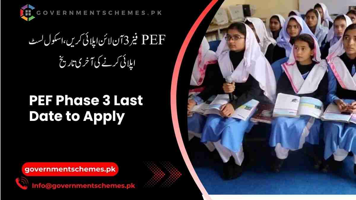 PEF Phase 3 School List PDF Download (All Punjab District)